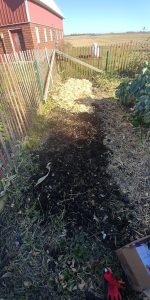 Start Your Spring Garden Now by Planting Garlic, Onions, and Shallots ...