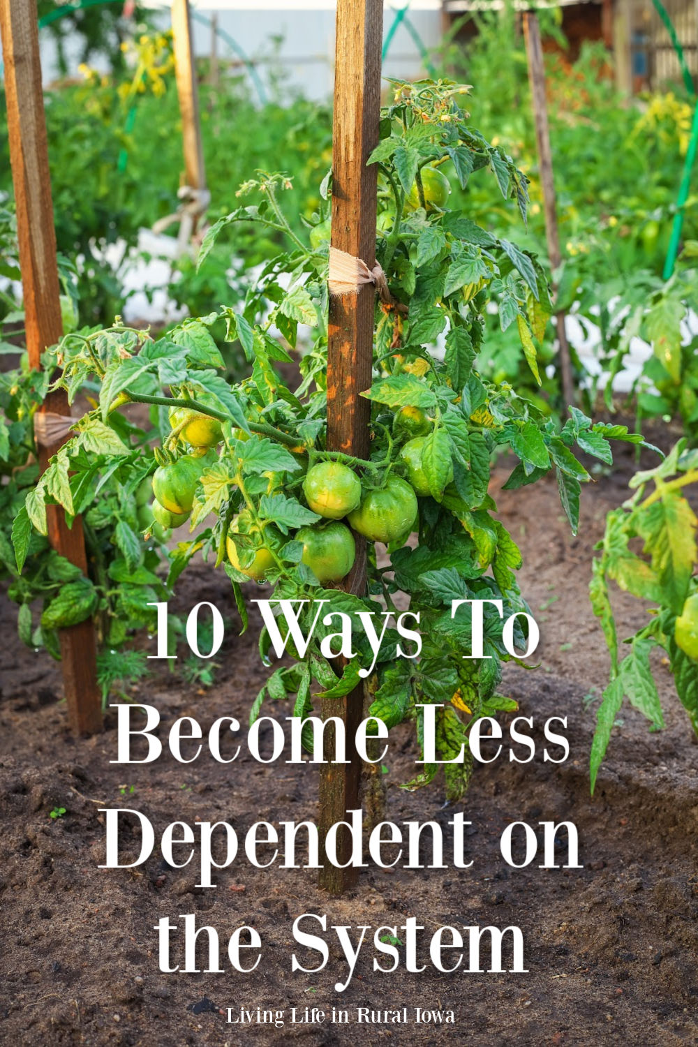 10 Ways To Become Less Dependent on the System - Living Life in Rural Iowa